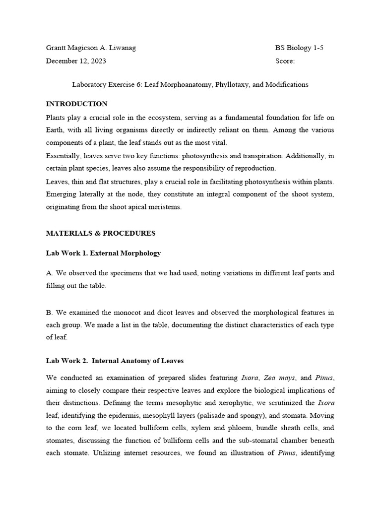 Lab Report 6 GBIO | PDF | Leaf | Stoma