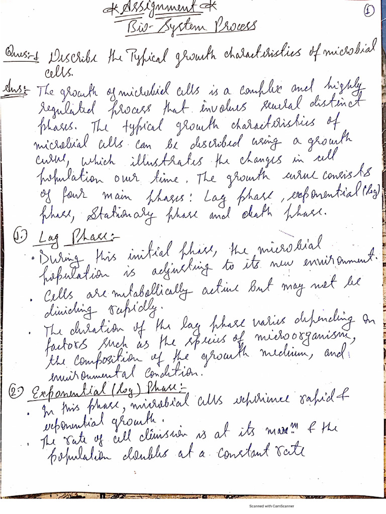 BSP Assignment | PDF