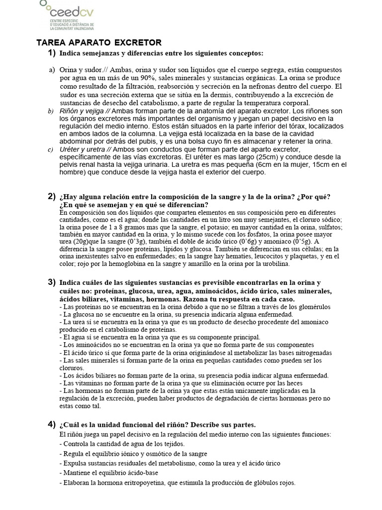 Tarea Documento Aparato Excretor | PDF | Riñón | Orina