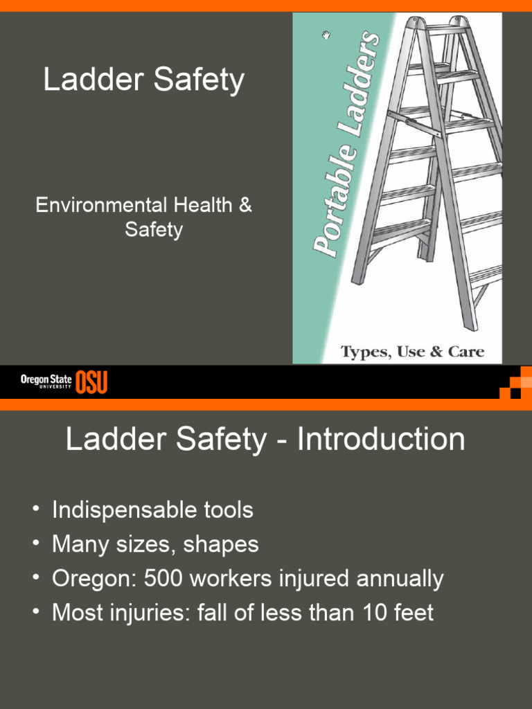 Ladder Safety Guidelines & Tips | PDF