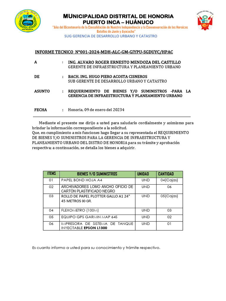 Informe 001-2024 | PDF