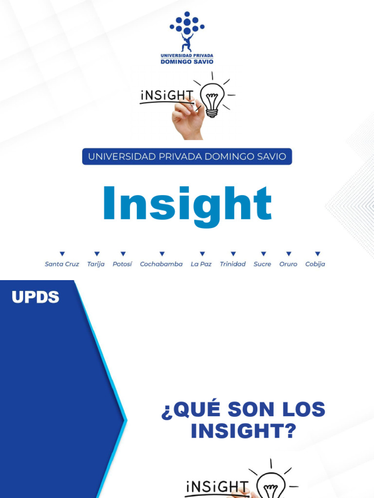 1.qué Son Los Insight | PDF | Marketing | Los consumidores