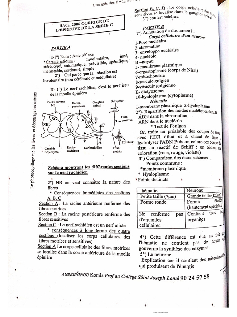 Corrigés Types de Bac SVT | PDF