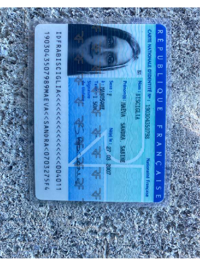 IMG 0732 Compressed | PDF