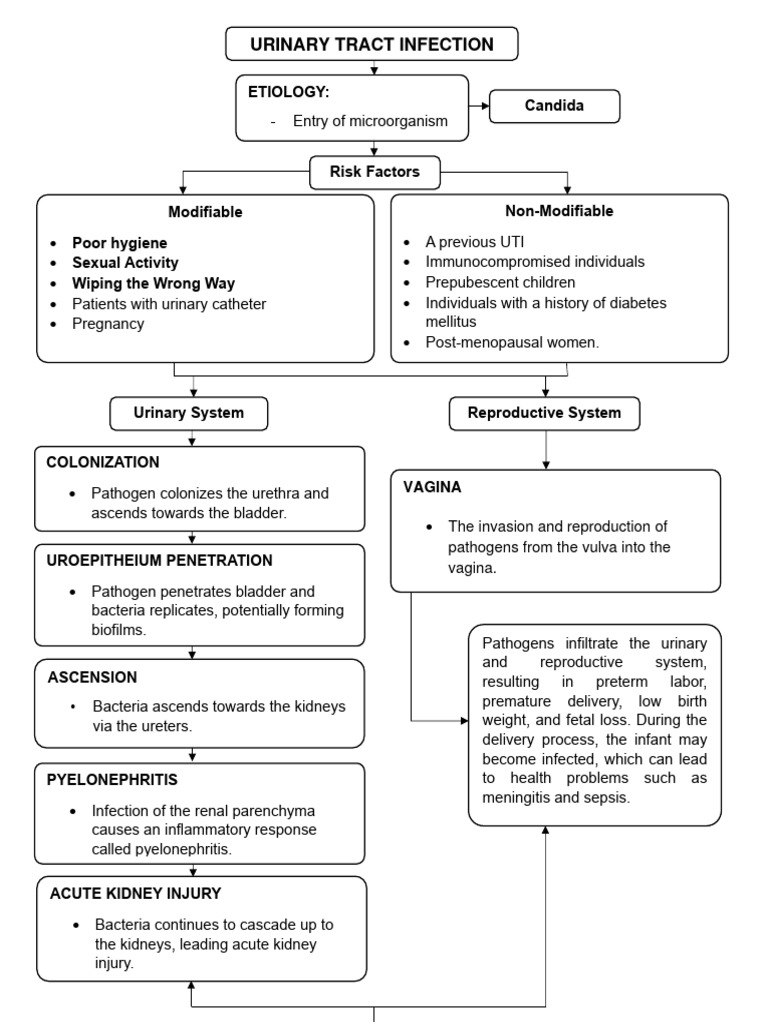 Patho Final | Download Free PDF | Urinary Tract Infection | Urinary System