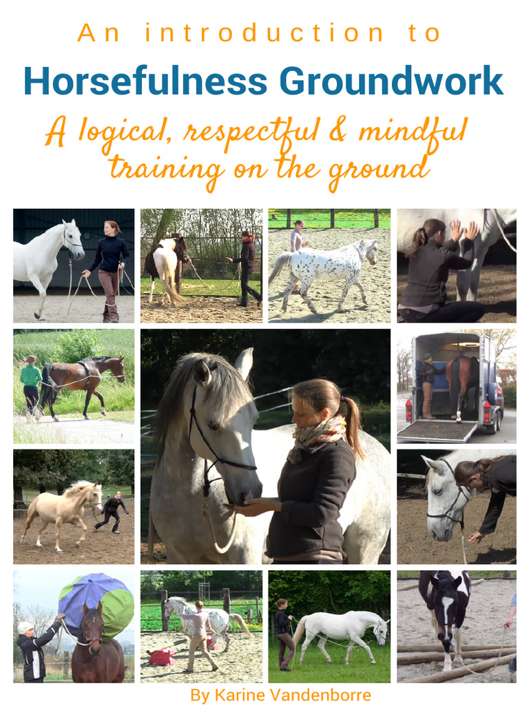 An Introduction To Horsefulness Groundwork Ebook | PDF | Horses