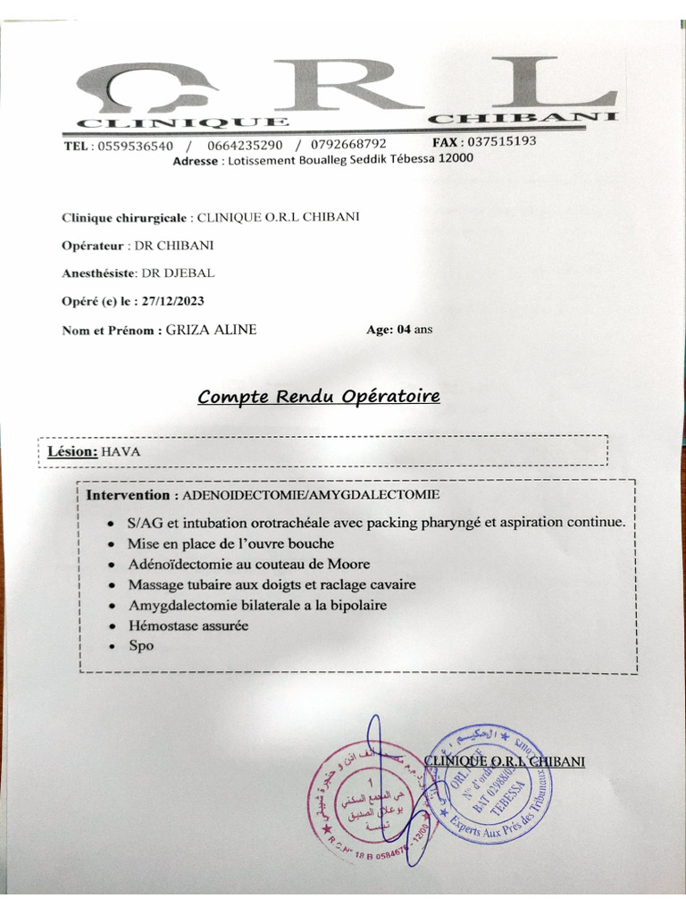 Compte Rendu Aline | PDF