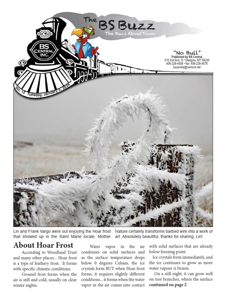 BS Buzz | PDF | Frost | Snow