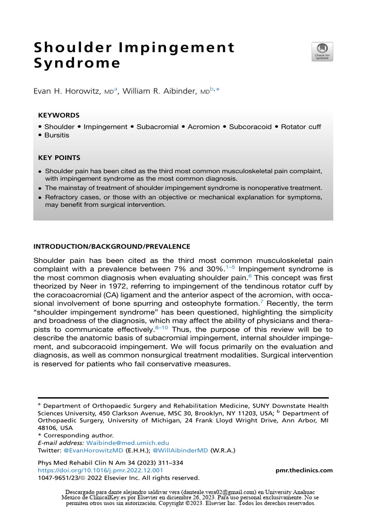 Shoulder Impingement Syndrome | PDF