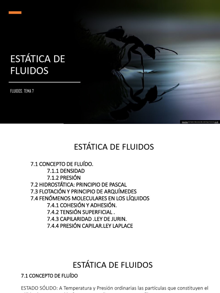 Tema 7 .Estática de Fluídos | PDF | Tensión superficial | Líquidos