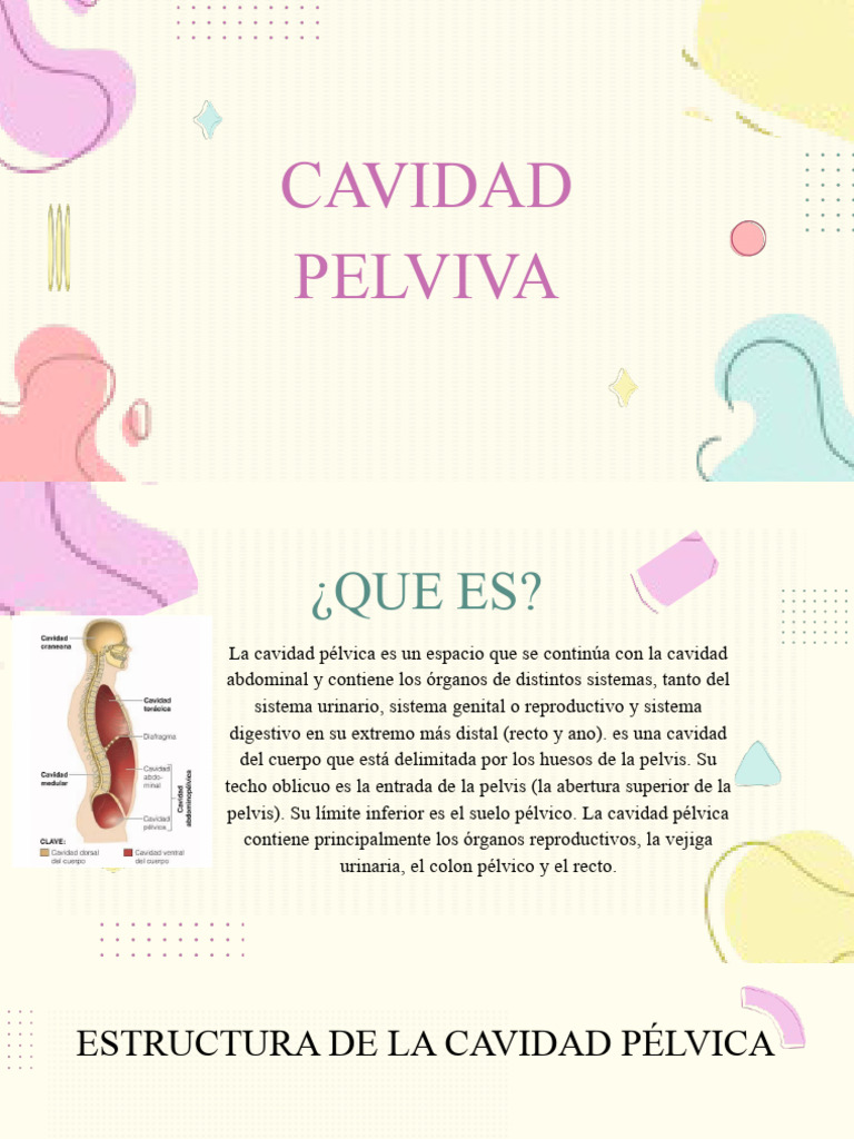 Cavidad Pélvica - 20231115 - 194856 - 0000 | PDF