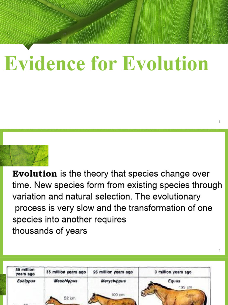 Evolution For Evidence | PDF | Fossil | Evolution