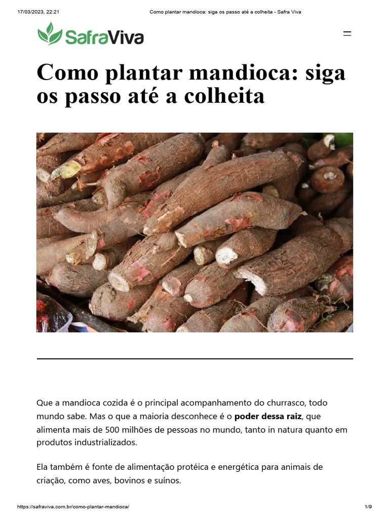 Como Plantar Mandioca - Siga Os Passo Até A Colheita | PDF