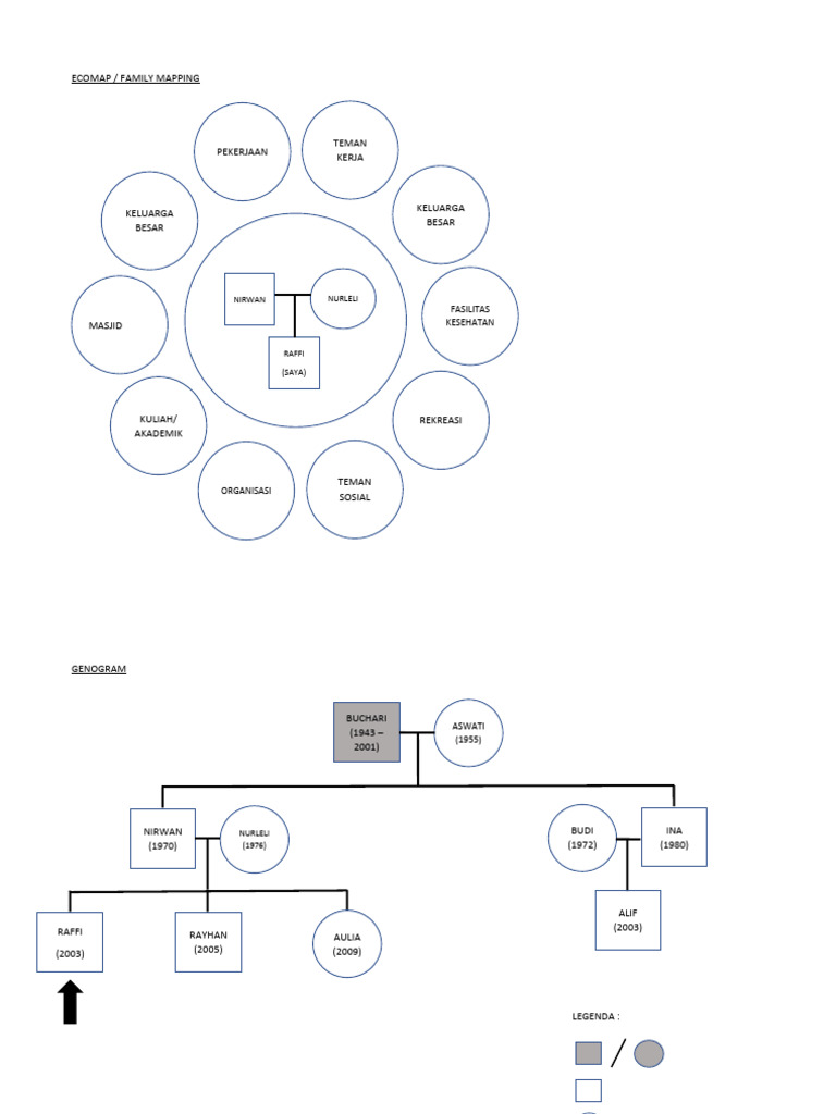 Genogram & Ecomap | PDF