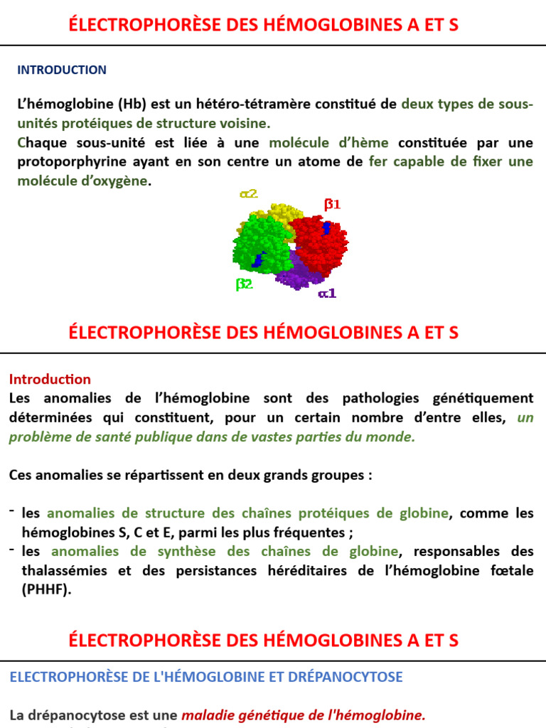 Electrophorese De L Hemoglobine Valeurs Normales – UMMLR