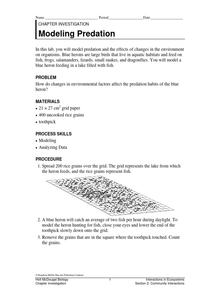 Modelingpredation | PDF