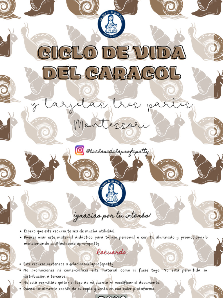 Ciclo Vida Caracol @laclasedelaprofepatty | PDF