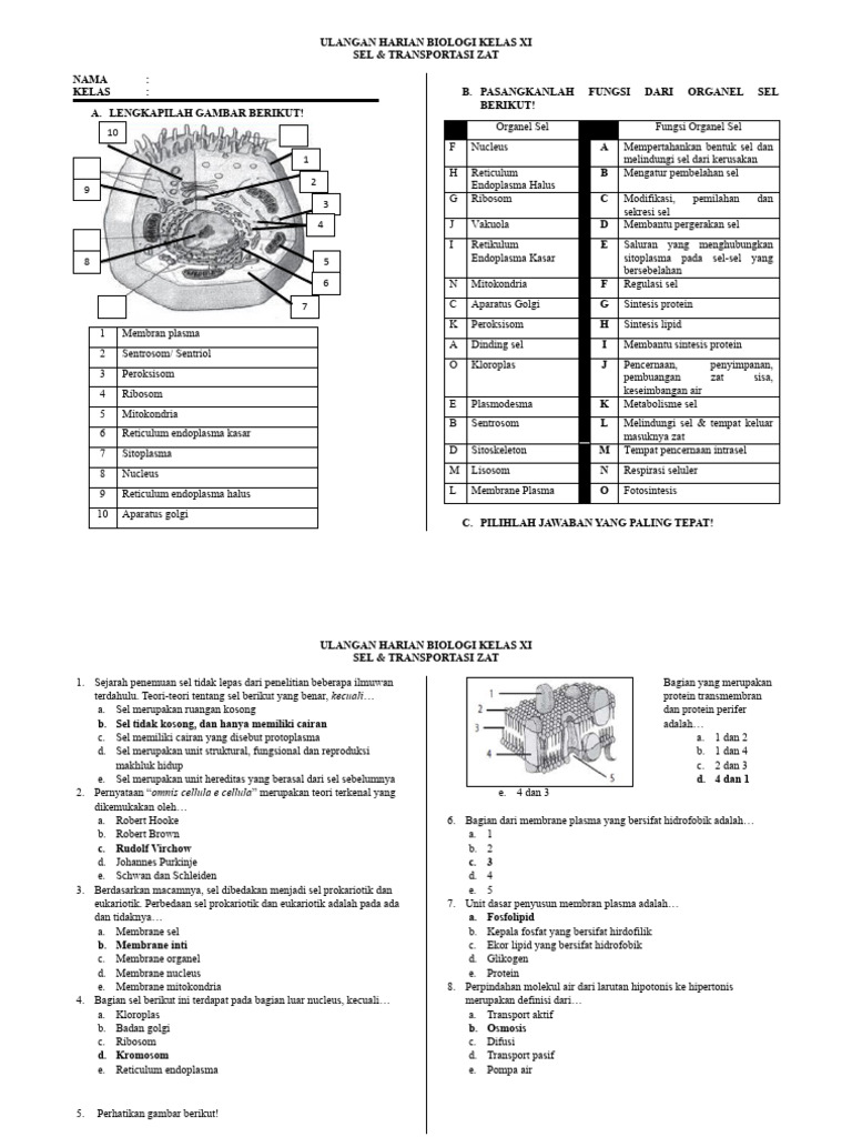 Uh Sel & Transportasi Zat 2023 | PDF