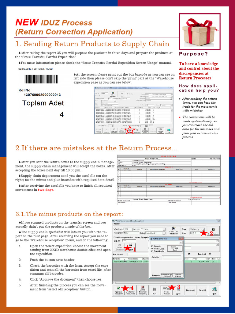 6 IDUZ Process in Stores | PDF