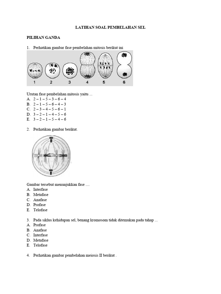 Latihan Soal Pembelahan Sel | PDF | Kajian Bahasa Asing