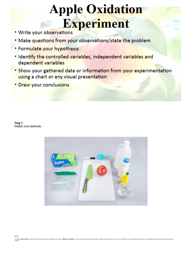 Apple Oxidation Experiment | PDF