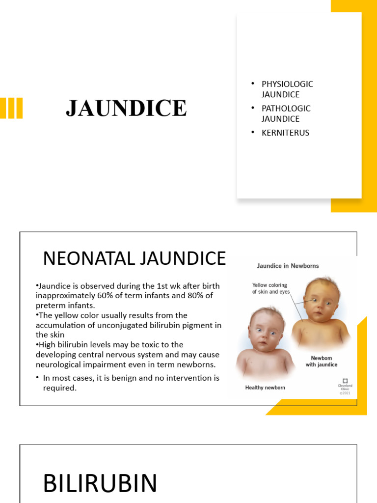 JAUNDICE-report | PDF | Medicine | Causes Of Death