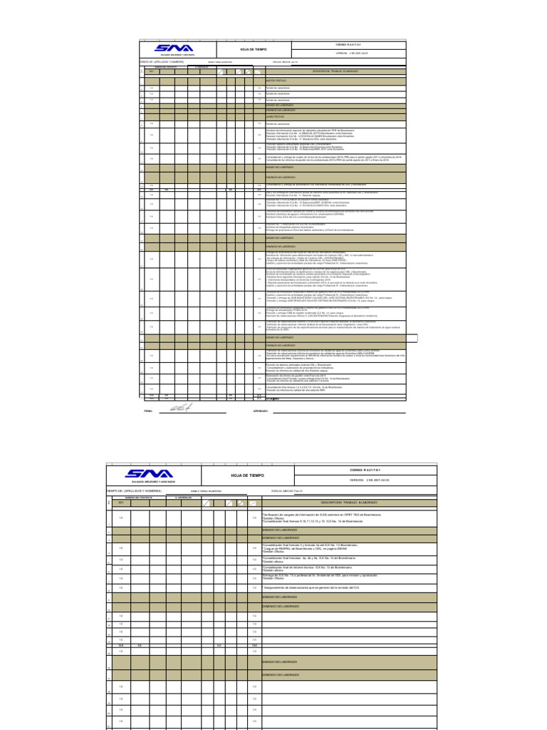 Formato Hoja de Tiempo | PDF | Entorno natural | Contaminación