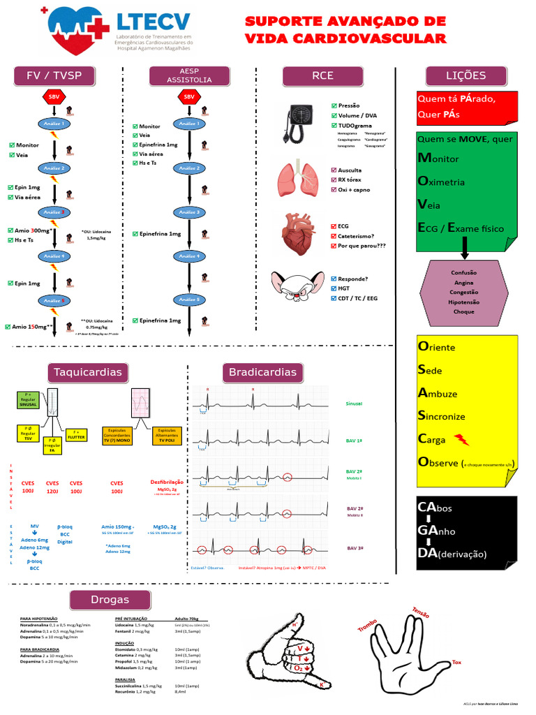 Banner ACLS | PDF