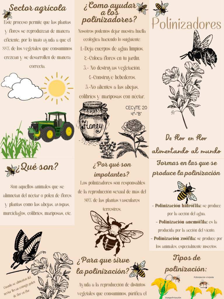 Importancia de la Polinización | PDF