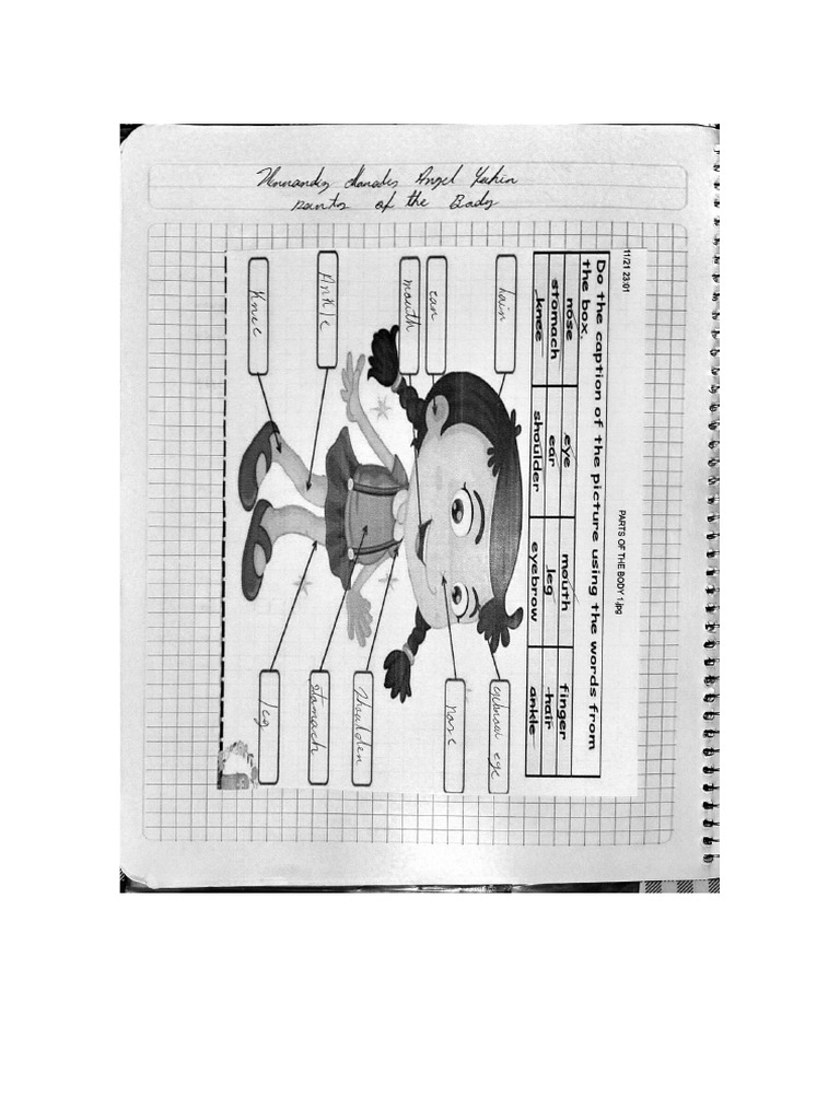 Parts of The Body | PDF