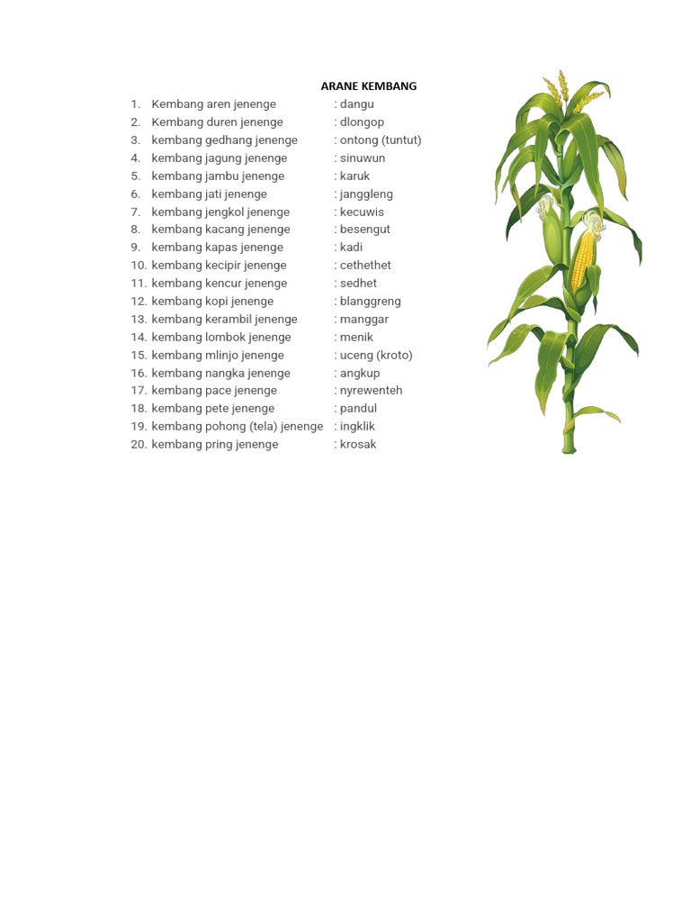 Arane Kembang | PDF