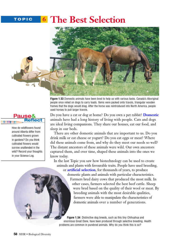 Science in Focus 9 - Unit 1 Topic 6 The Best Selection | PDF | Natural ...