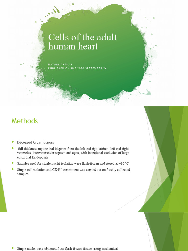 Cells of the adult human heart | PDF | Ventricle (Heart) | Atrium (Heart)
