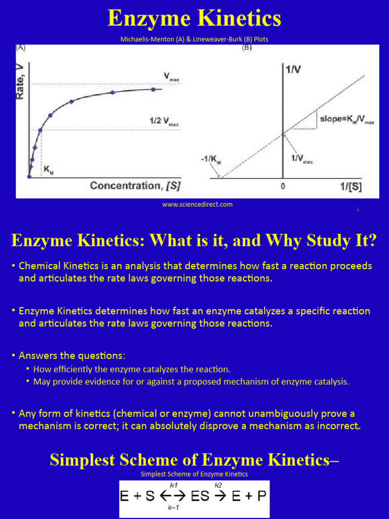 Enzyme Kinetics | PDF | Enzyme Kinetics | Enzyme