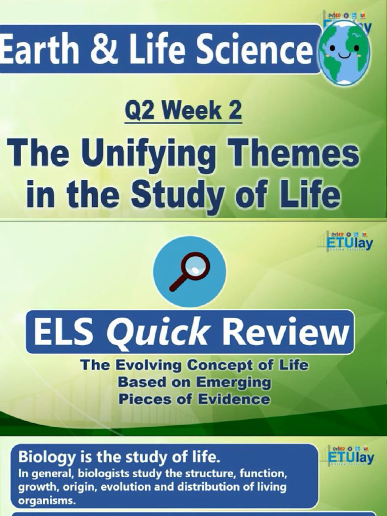THEMES OF LIFE | PDF