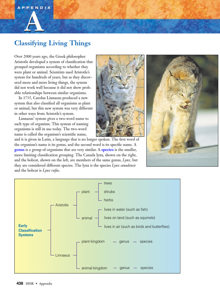 Science Focus 9 Appendix | PDF