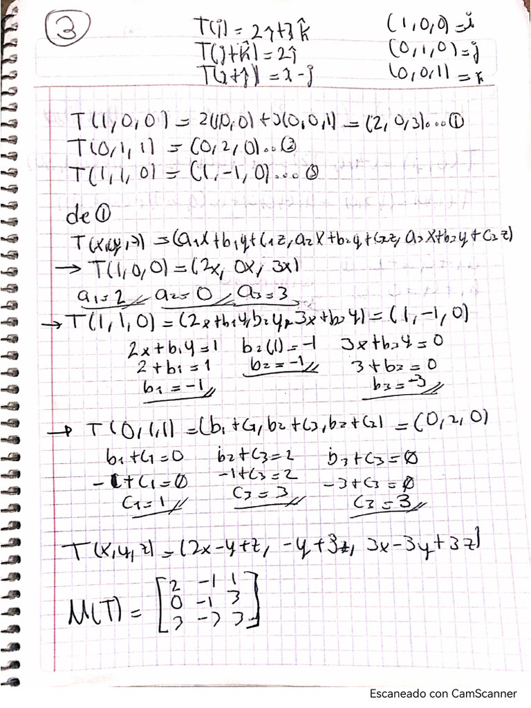 Tarea de Ejercicios Lineales | PDF