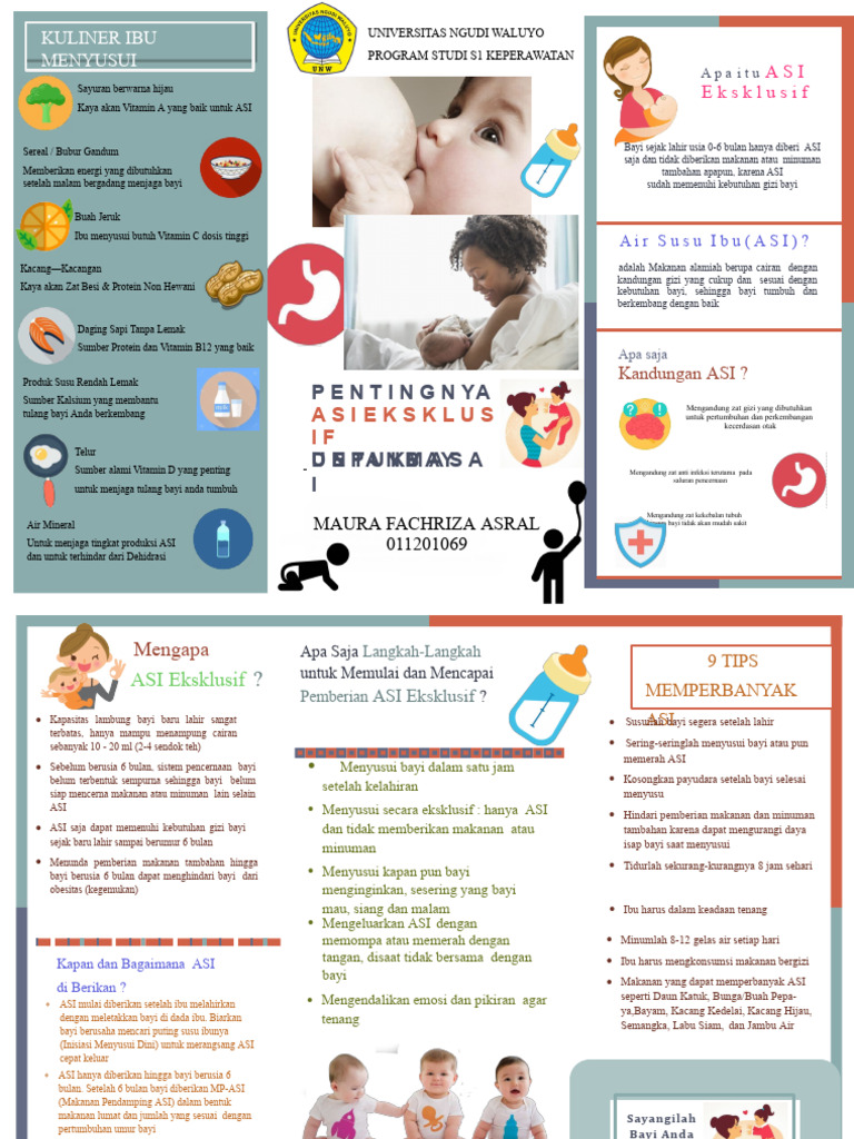 Leaflet ASI Eksklusif | PDF