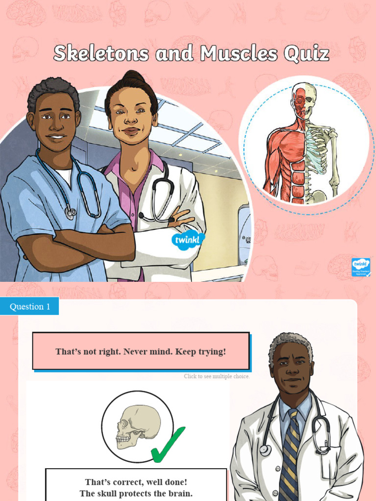 Skeleton and Muscle Anatomy Quiz | PDF | Skeleton | Skull
