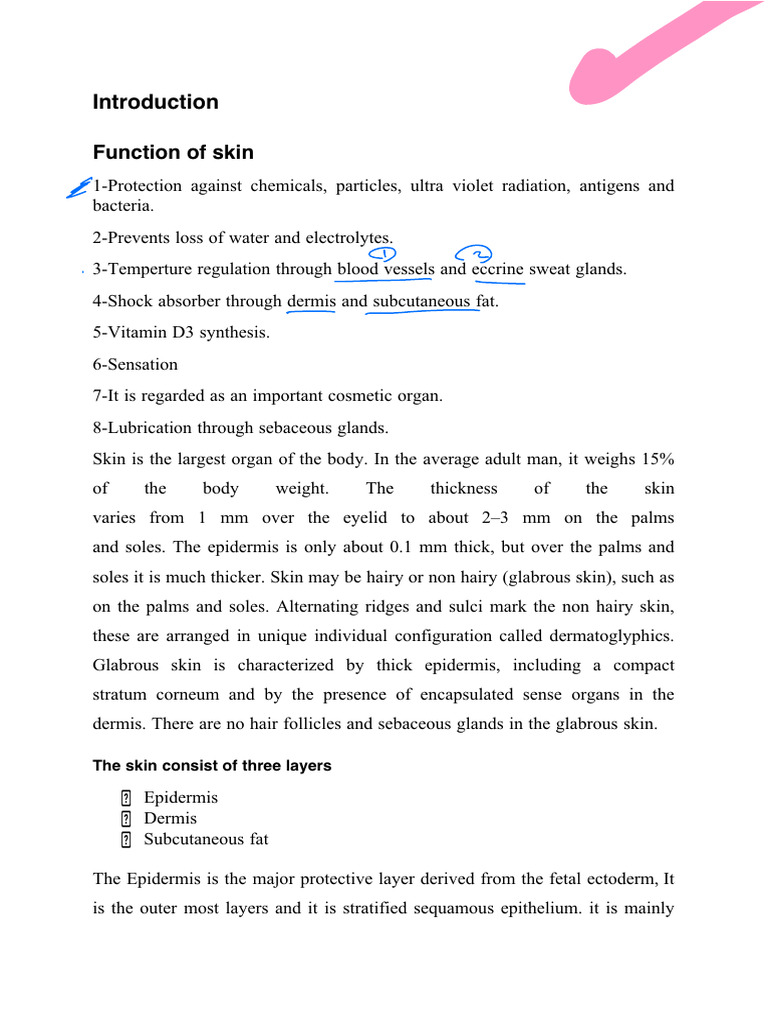 1-Function Dermatology Notes | PDF | Skin | Epidermis