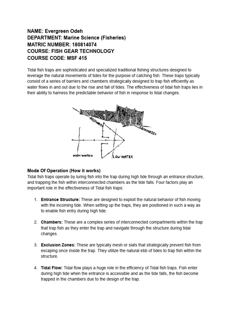 MSF 415 - Assign - Evergreen Odeh | PDF