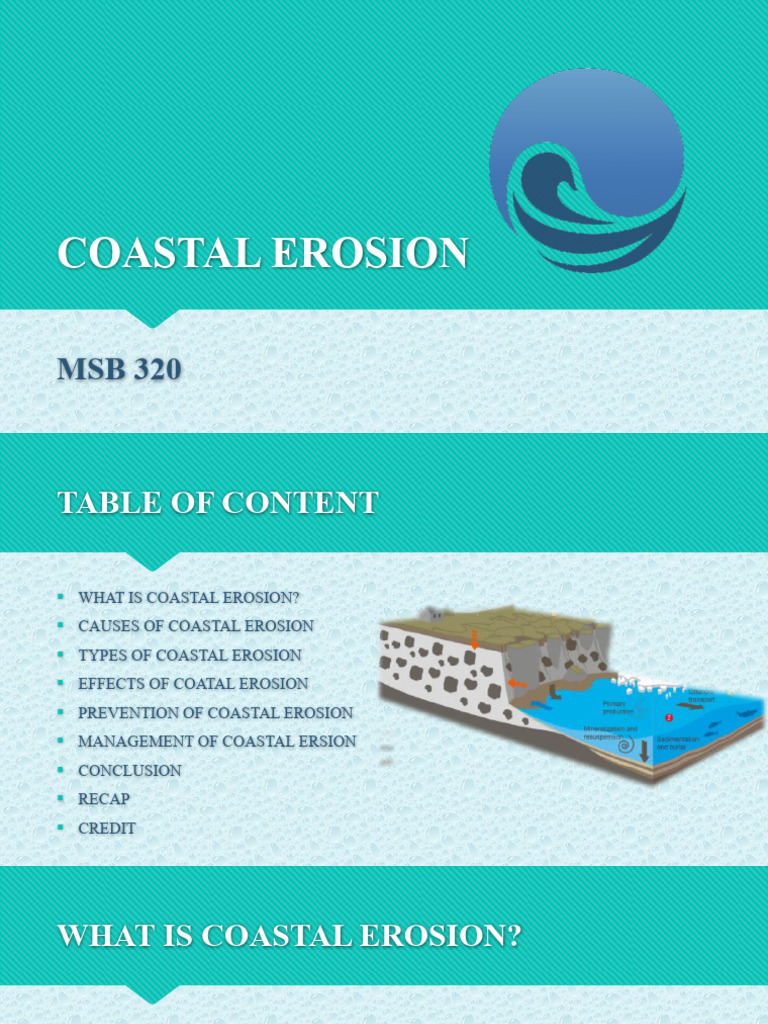 COASTAL EROSION MSB 320_GRP 15 | PDF