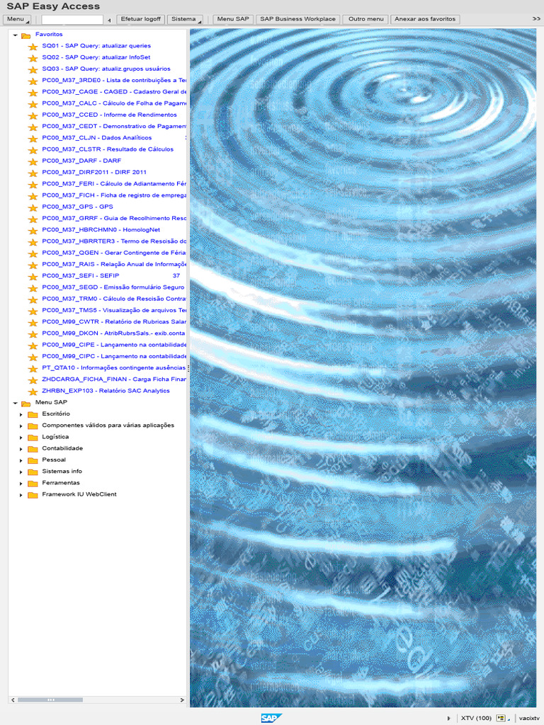 SAP GUI For HTML | PDF