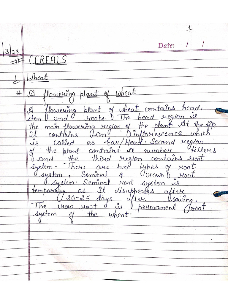 Botany File 4th Sem | PDF