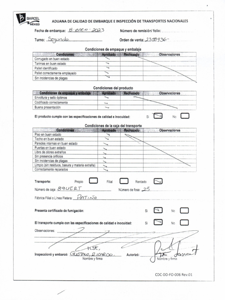 Formato de Inspeccion Visual - Copia | PDF