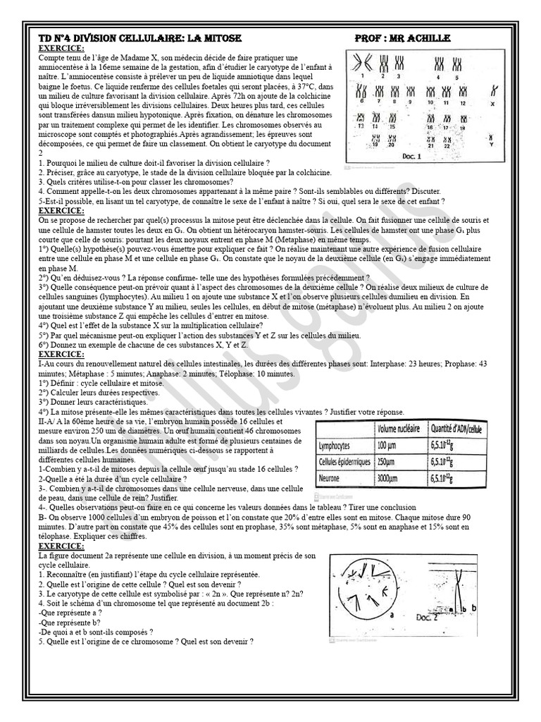 Td N 4 Division Cellulaire La Mitose Prof Mr Achille Exercice Pdf