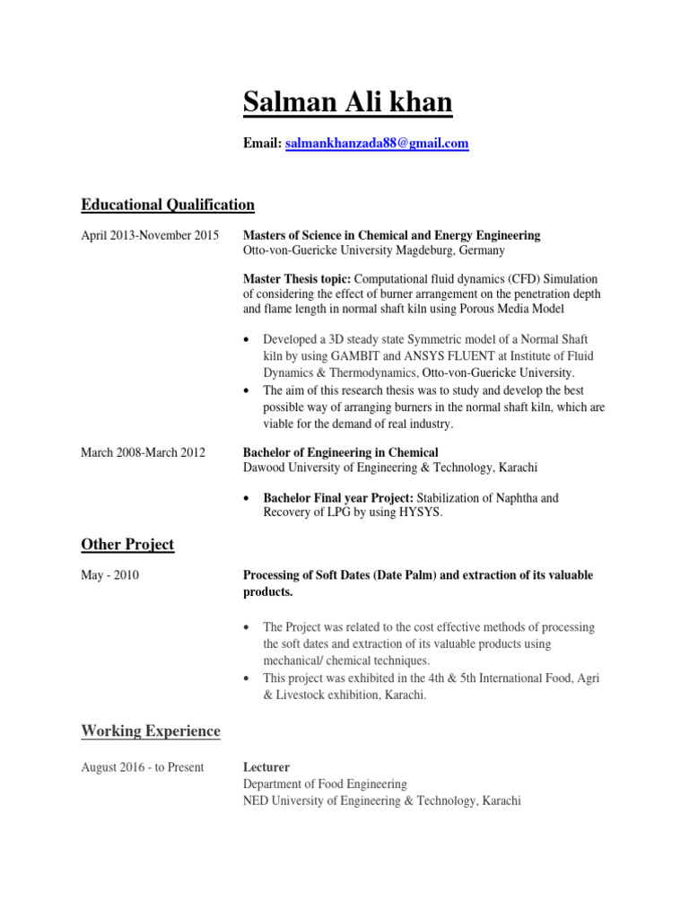 Salman - CV NED | PDF