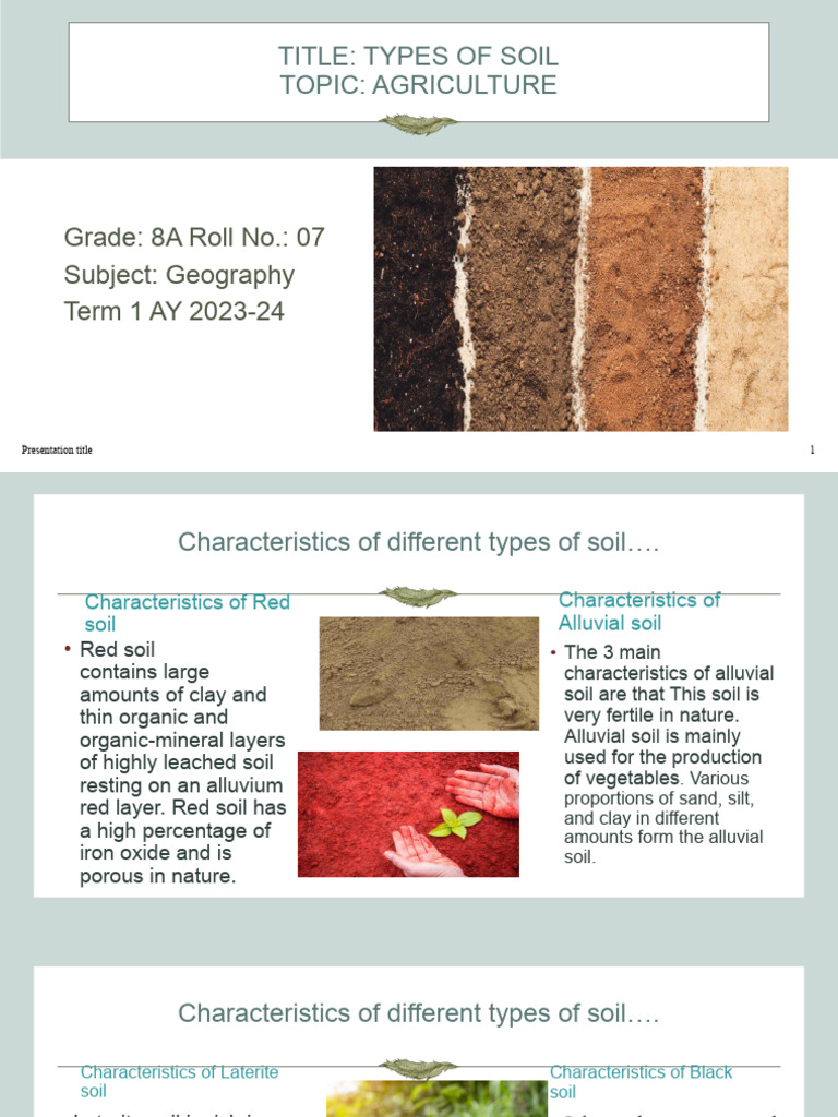 Geography SEA Term 2 AY 2023-24 by Rishita Pankaj | PDF | Soil | Geology