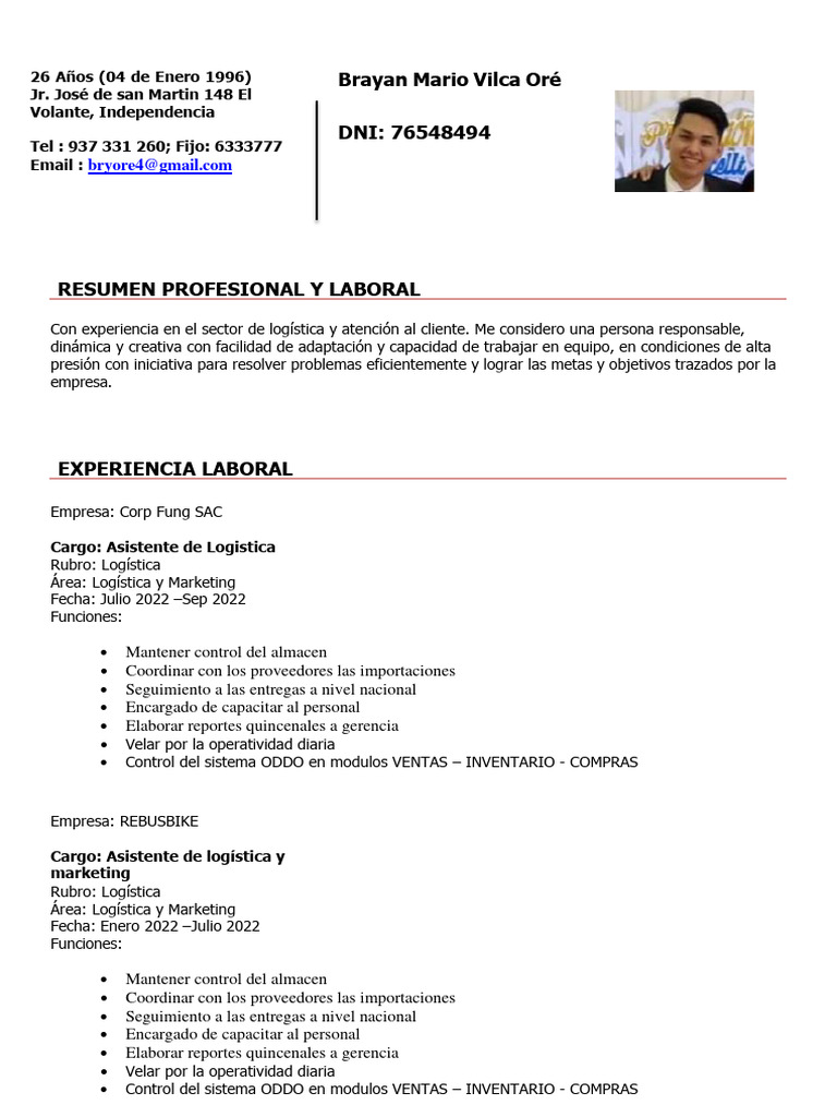 CV Brayan Ore Actualizado | PDF | Logística | Marketing