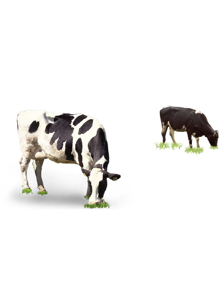 pngwing.com (6) | PDF